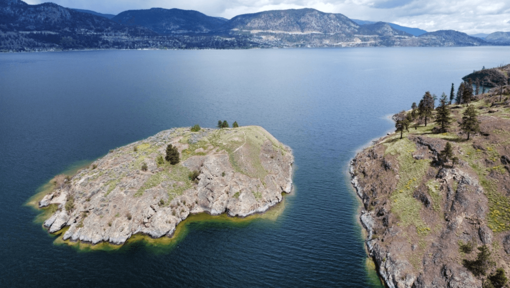 Uncovering the Secrets of the Ogopogo: The Truth Behind the Legend ...